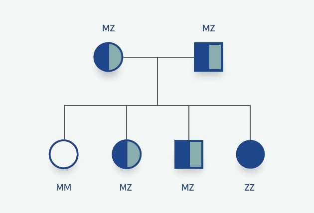 Alpha-1 Antitrypsin Deficiency (AATD) – Precision Medicine for COPD ...